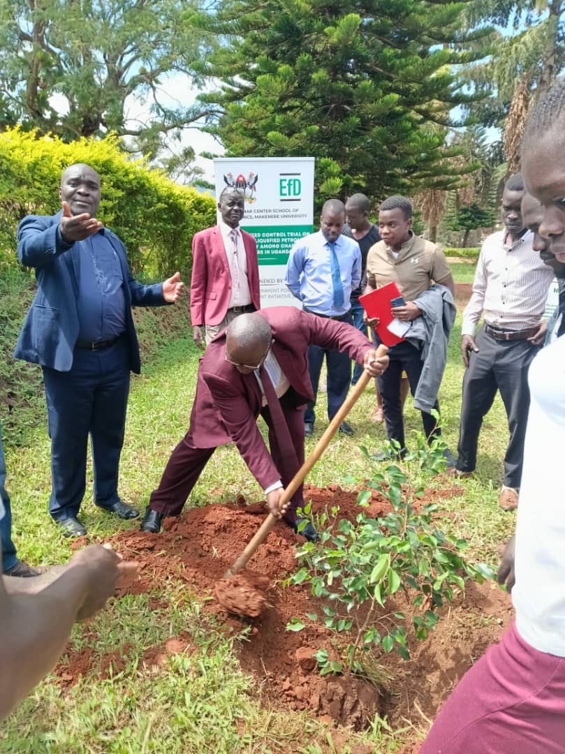 School of Economics students donate trees to Kiboga District - Makerere ...